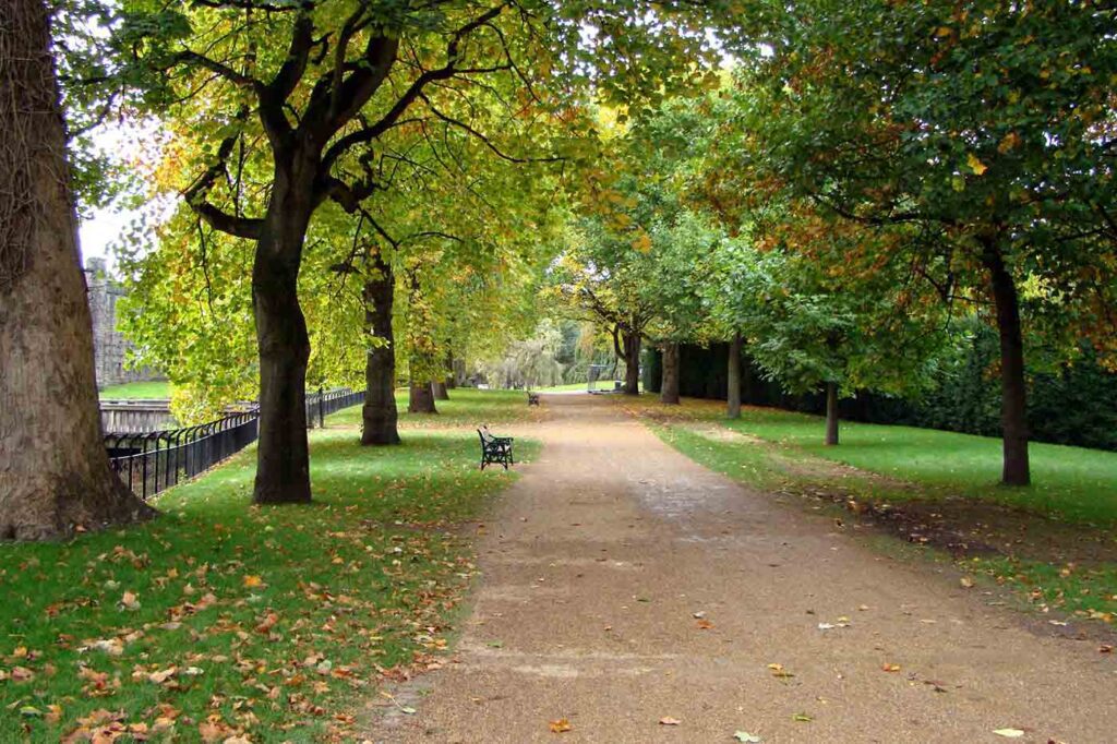 The Best 8 Things to Do & See in Cardiff - Tourist Attractions in Cardiff