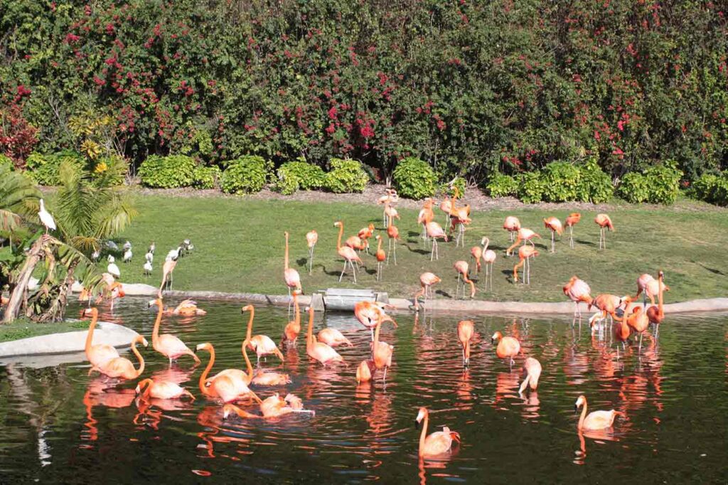 Miami Tourist Attractions - Top 21 Things to Do & See in Miami, FL