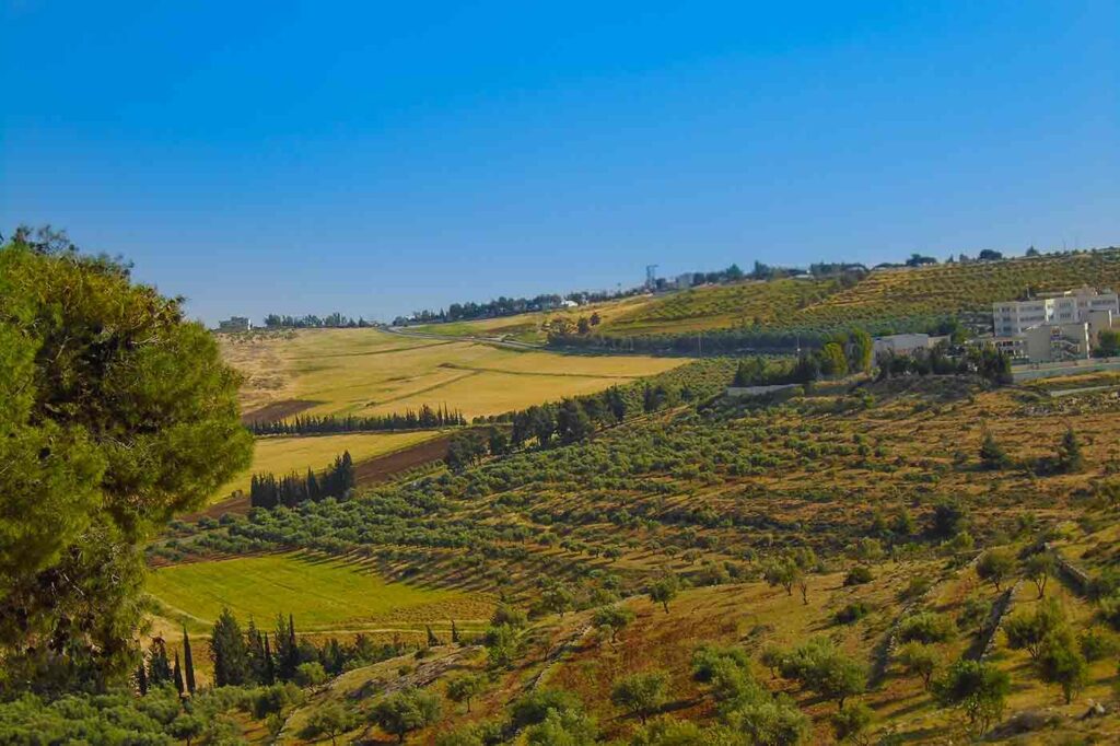 26 Things to Do in Amman - Top Sightseeing Places in Amman