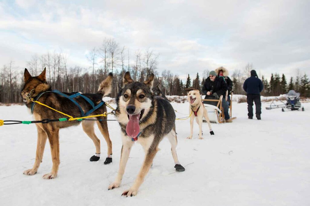 14 Things to Do in Abisko, Sweden - Top Tourist Attractions in Abisko
