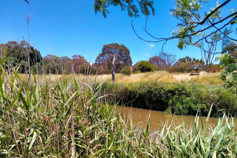 Top Canberra Tourist Attractions - 37 Things to Do in Canberra
