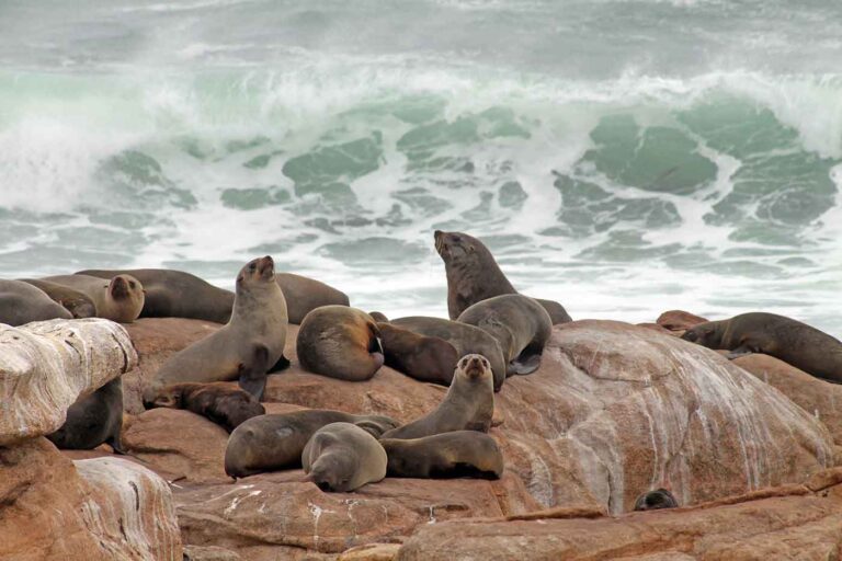 10 Things to Do in Upington, South Africa - Top Attractions to See